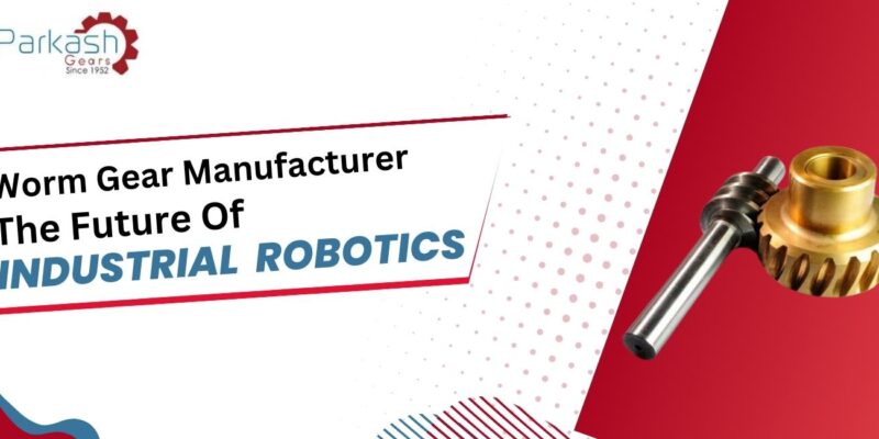 Worm Gear Manufacturer: The Future Of Industrial Robotics